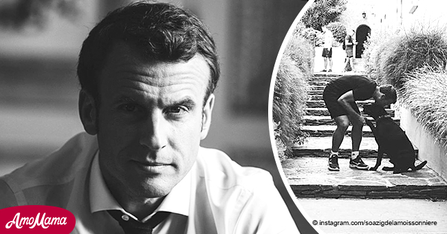 Une adorable photo d'Emmanuel Macron avec son chien Nemo pendant ses ...