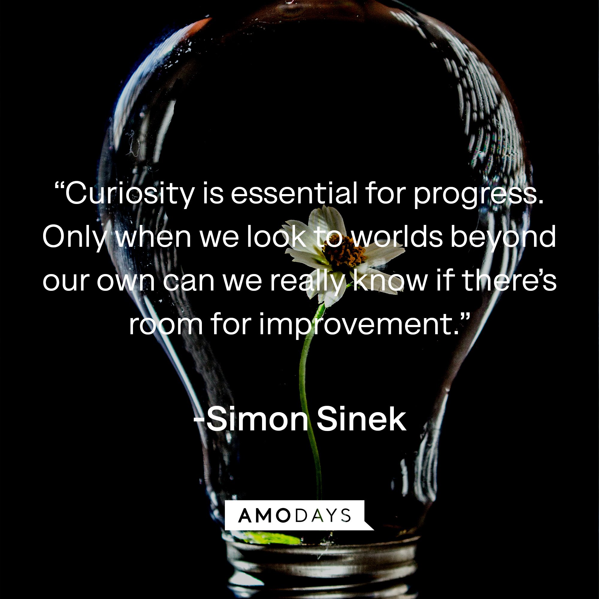 98 Curiosity Quotes for Curious Minds