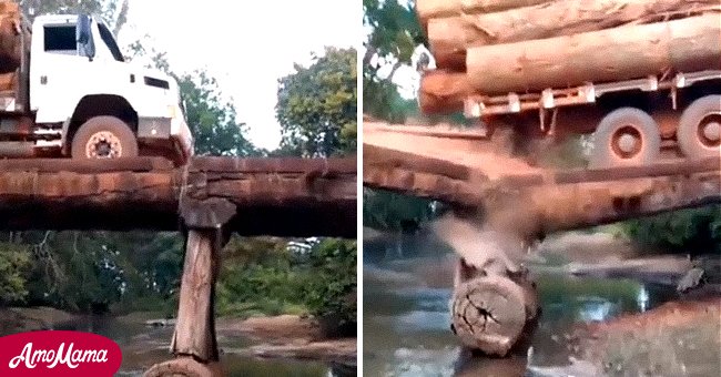 Alleged Timber Trafficking Truck Collapses on Wooden Bridge