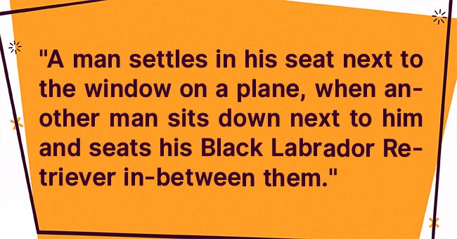 Daily Joke: Agent, Black Labrador Retriever, and a Man Settle in Their ...