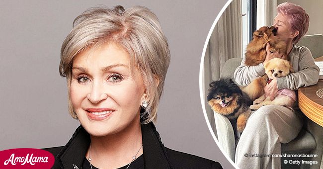 Sharon Osbourne's Fans Gush over Cute Photos of Her Kissing Her Puppies