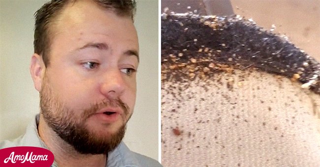 Man Allegedly Tries to Donate Bug-Infested Furniture to a Single Mom