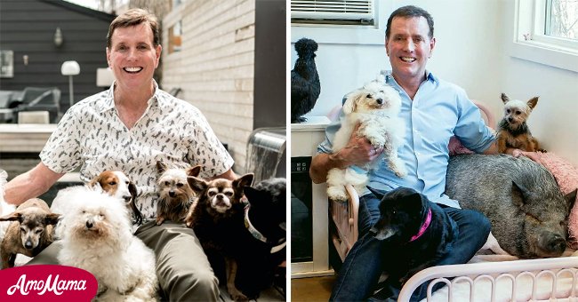 Das ist Steve Greig, der für einen ruhigen Lebensabend für Hunde sorgt ...