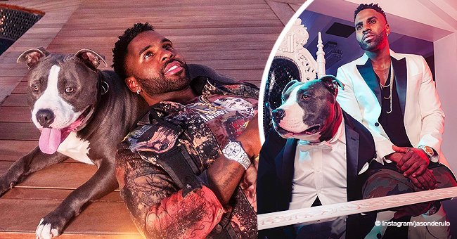 Jason Derulo Shows off His Dog Ice Who Often Stars in His Viral TikTok ...