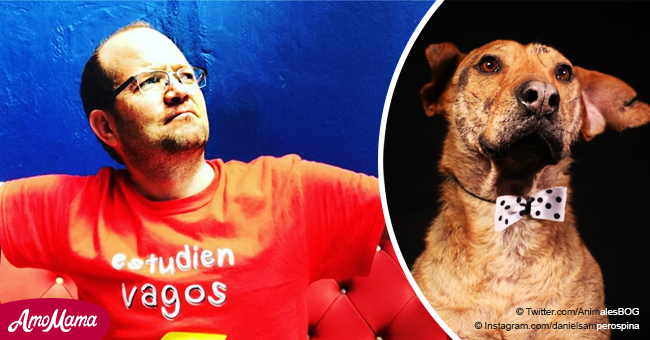 Serafín, el perro rechazado por su físico, halló un hogar en la familia ...