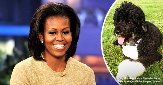 Michelle Obama Shares Adorable Photos of Bo and Sunny, Wishes Them a ...