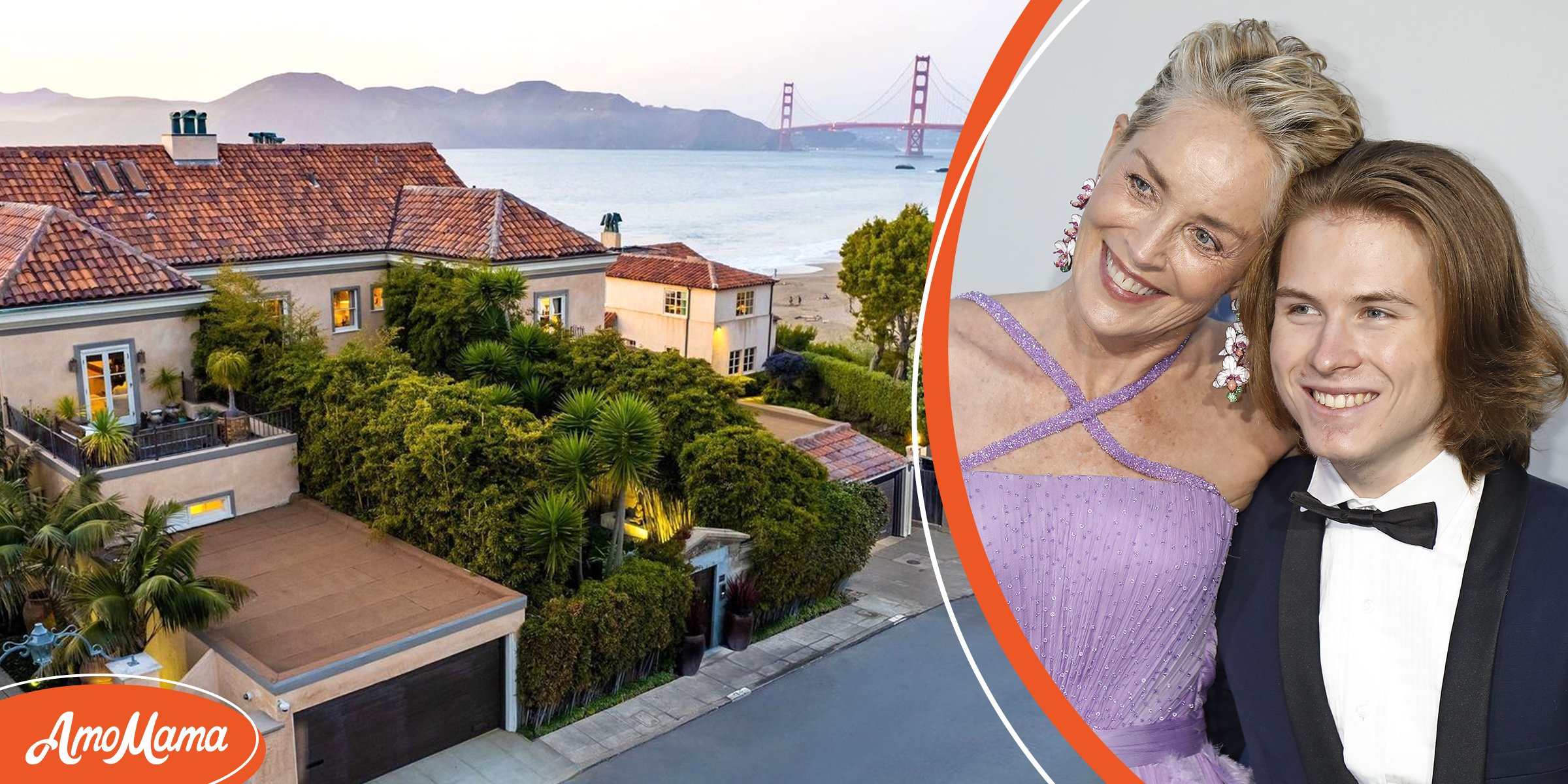 Inside Sharon Stone's Sea Cliff Homes Where She Spent Time with Adopted ...