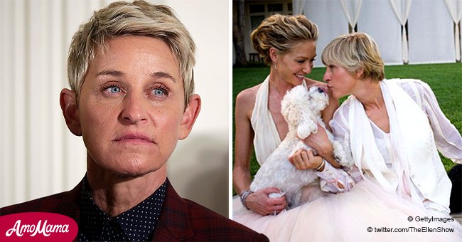 Fans React to Ellen DeGeneres as She Mourns the Passing of Her Dog Wolf