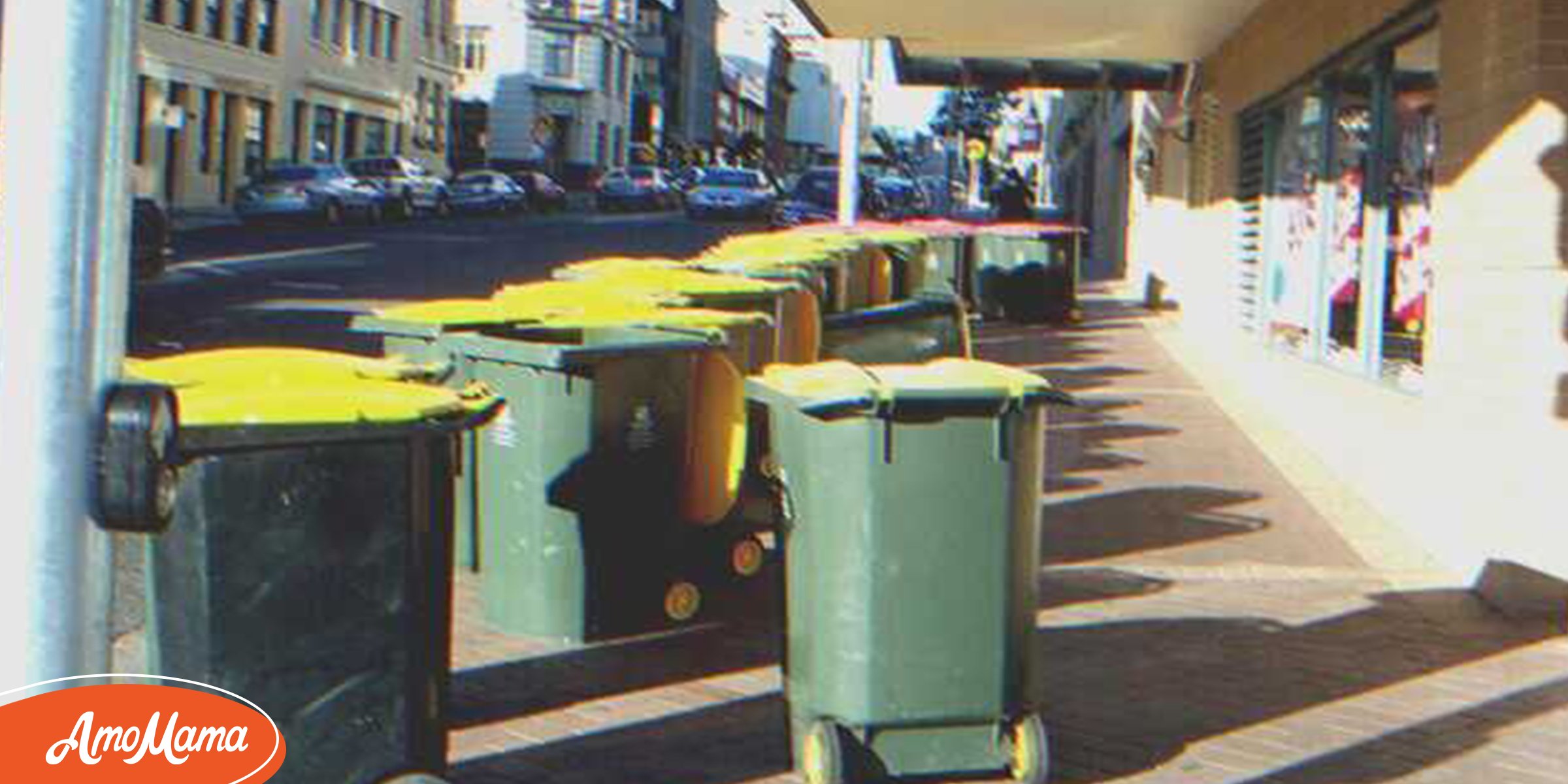 Store Owner Mocks Man’s Odor, Next Day Finds Dozens of Garbage Bins ...